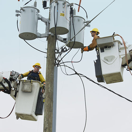 Services – Star Electrical